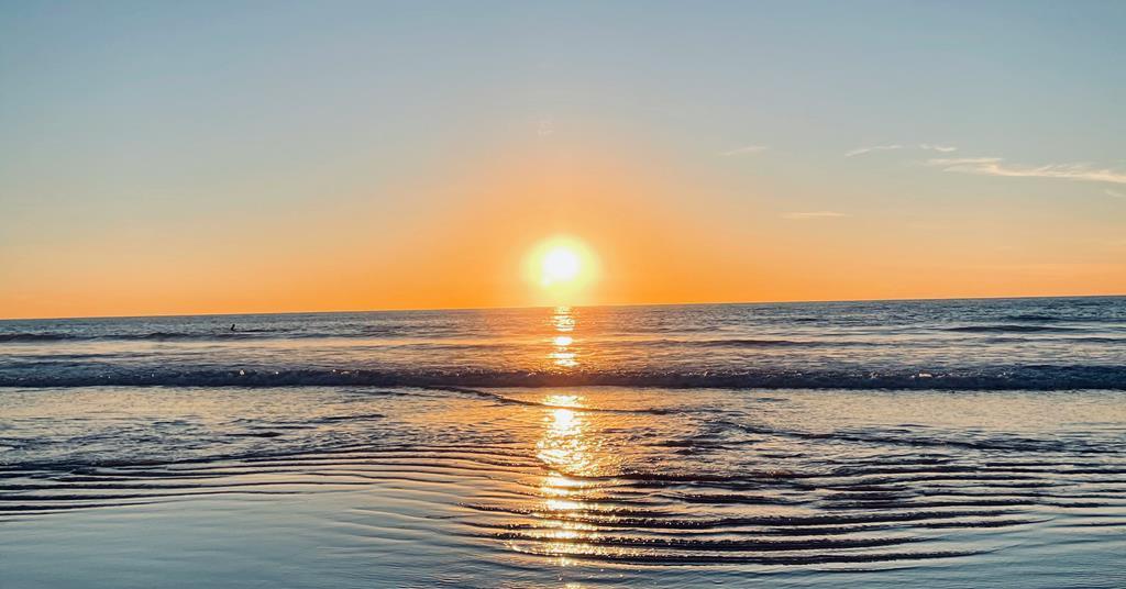 Rare earth elements: of peptides and the origins of life | News | The ...