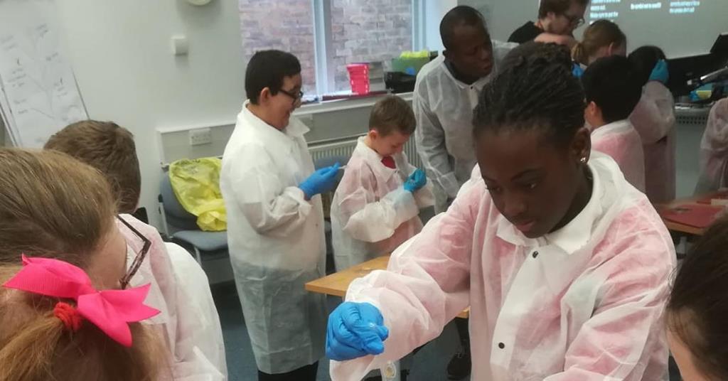 I was transformed into a cartoon scientist honey bee! | The Microbiologist