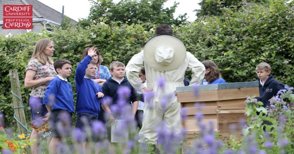 I was transformed into a cartoon scientist honey bee! | The Microbiologist