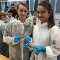 I was transformed into a cartoon scientist honey bee! | The Microbiologist