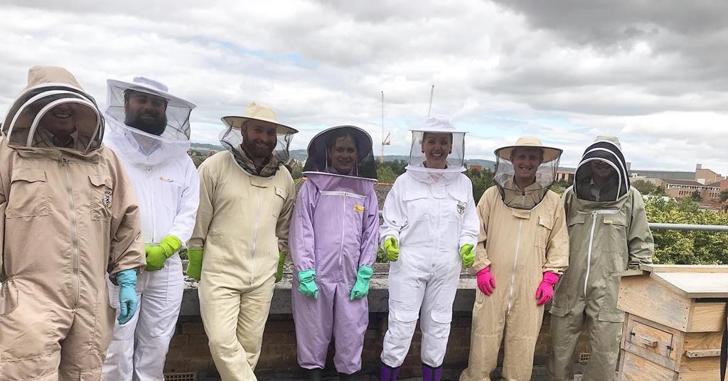 I was transformed into a cartoon scientist honey bee! | The Microbiologist