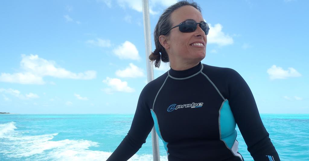 Cycle of coral bleaching on the Great Barrier Reef now at ‘catastrophic ...