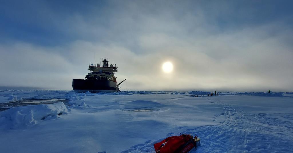 Arctic viruses in the surface microlayer help their hosts to survive ...
