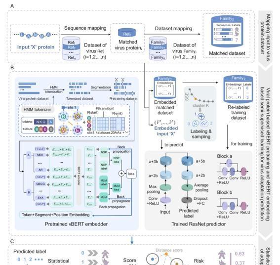 General intelligence framework to predict virus adaptation based on a ...