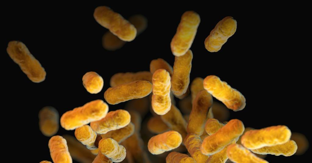 Researchers uncover key biomolecule involved in whooping cough ... Researchers uncover key biomolecule involved in whooping cough ...