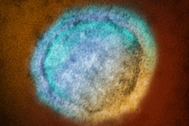 Scientists uncover structure of critical component in deadly Nipah ...