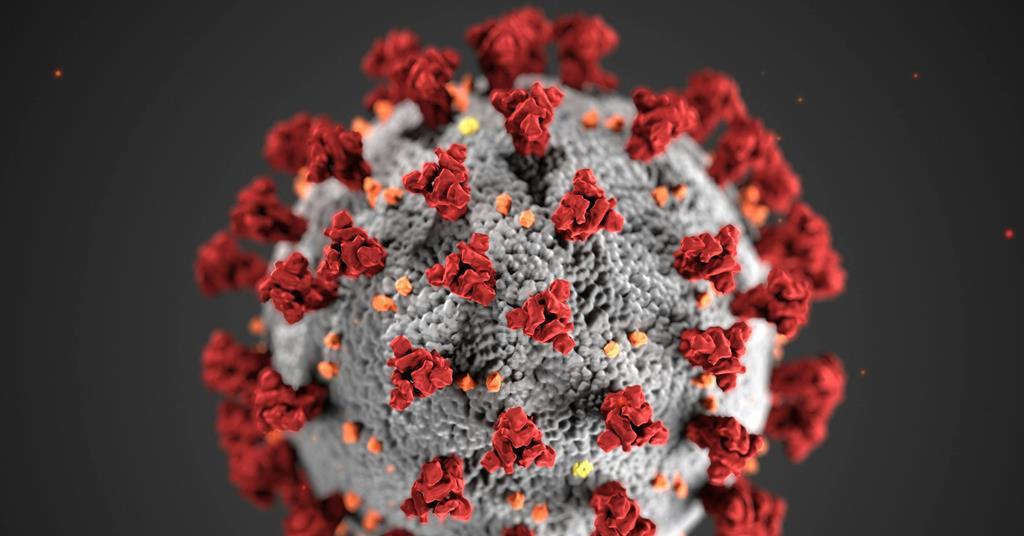 Novel open-source diagnostic tool offers affordable, reliable pathogen ...