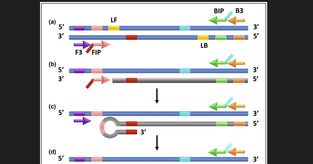 Diagnostic technique IDs five key AMR markers in water samples in less ...