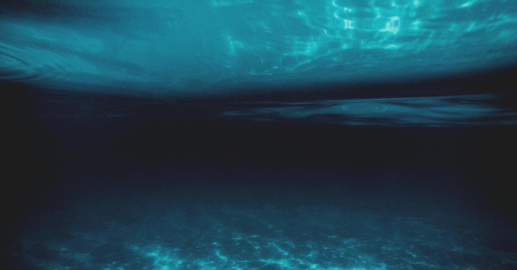 Scientists map the ocean’s invisible workforce | News | The Microbiologist