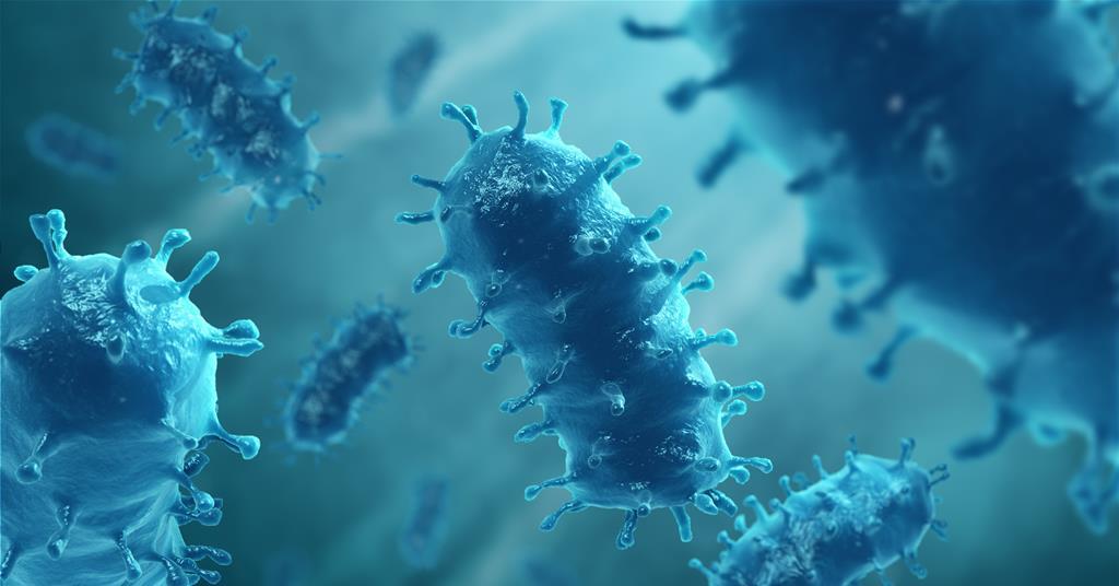 Under the microscope: rabies | Features | The Microbiologist