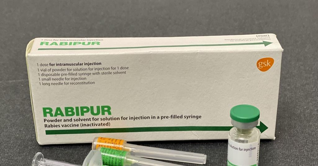 Under the microscope: rabies | Features | The Microbiologist