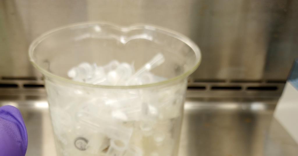 What a waste: poop and plastic in the study of purple martin ...