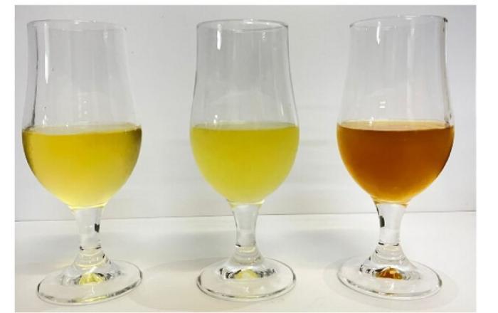 Less tea, vicar - fruit juice offers a fresh take on kombucha | News ...