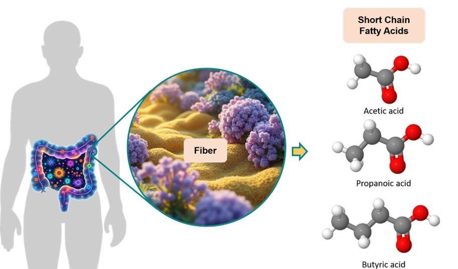 Metabolomics: decoding the chemical language of life | Features | The ...