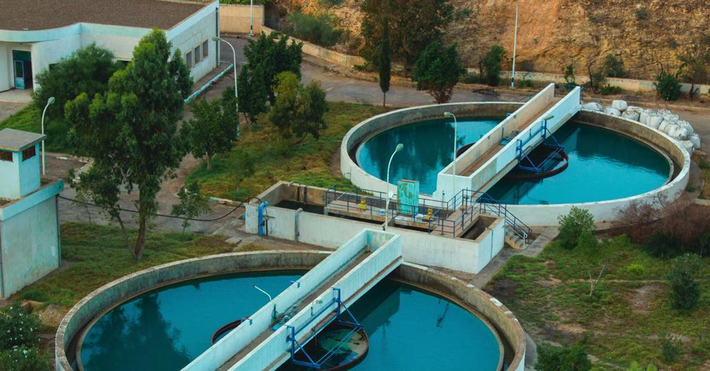 Microalgal-bacterial sludge offers sustainable solution for removing ...