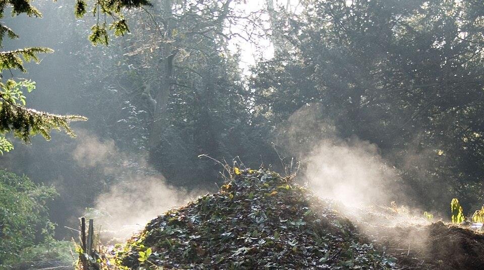 Heatproof microbes reveal molecular secrets of nature’s hottest ...