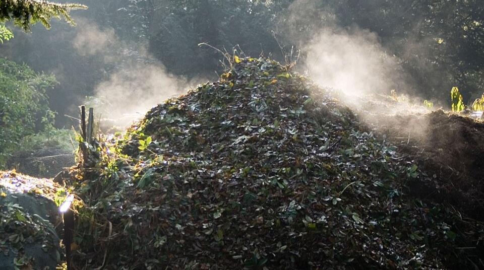 Heatproof microbes reveal molecular secrets of nature’s hottest ...