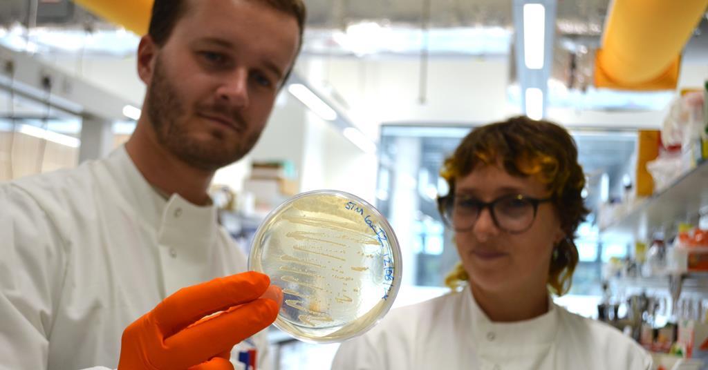 Centre for Microbial Interactions at Norwich Research Park is launched ...