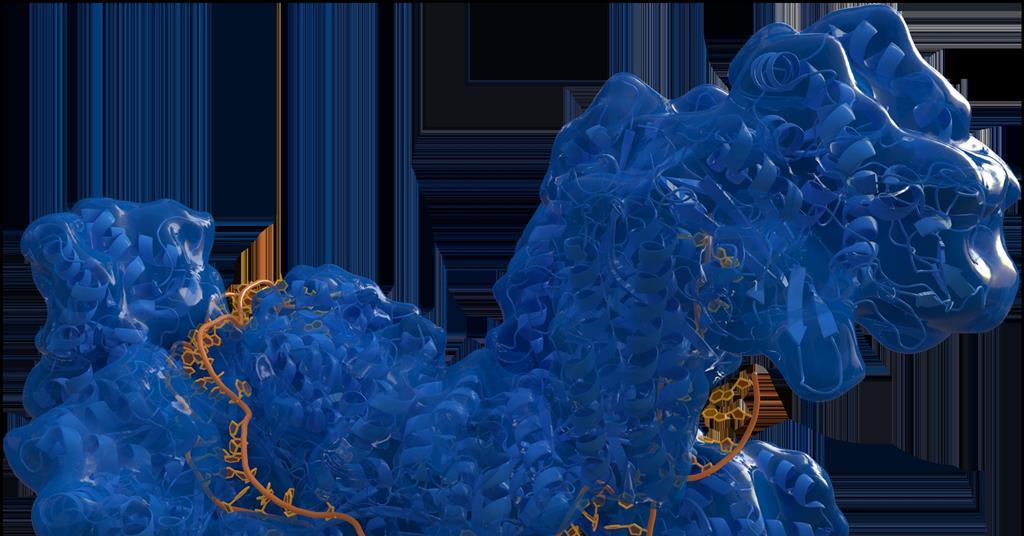 Under the microscope: CRISPR-Cas9 | Features | The Microbiologist