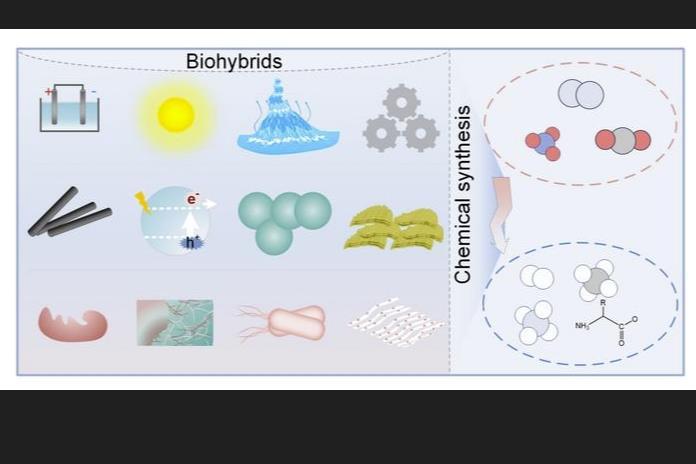 Biohybrids: Pioneering sustainable chemical synthesis at the energy ...