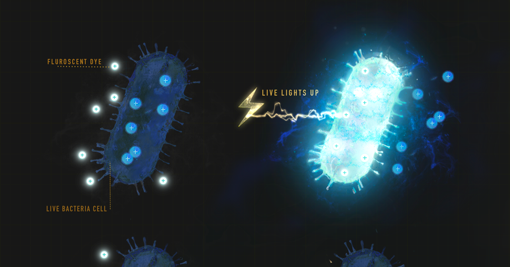 My placement year in antimicrobial research at The University of ...