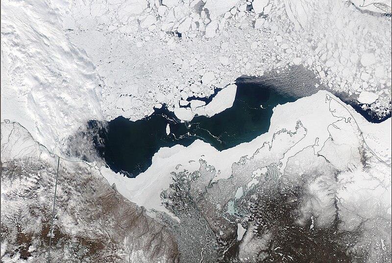 Specialist under-ice species at risk as Arctic warms | News | The ...