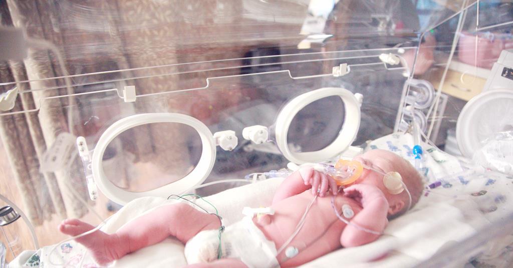 Scientists ID what makes some gut bacteria threaten neonatal babies ...