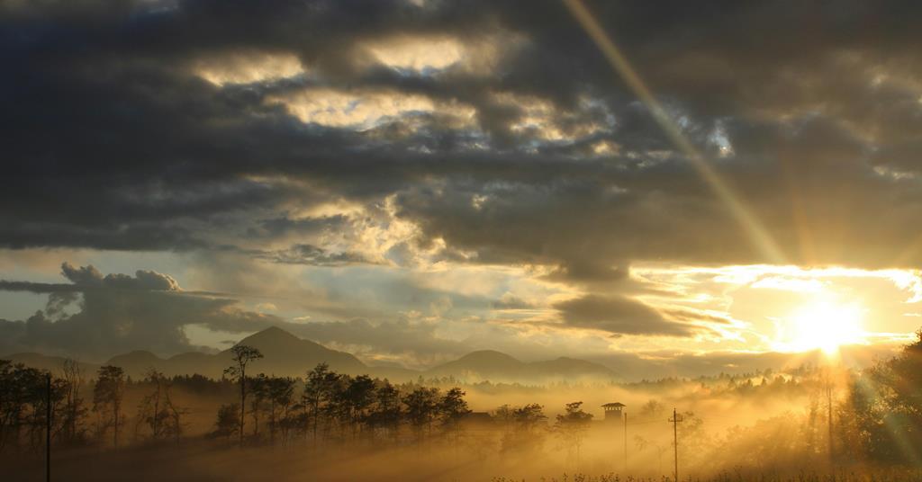 Sunlight-activated nanospray enables painless, antibiotic-free therapy ...