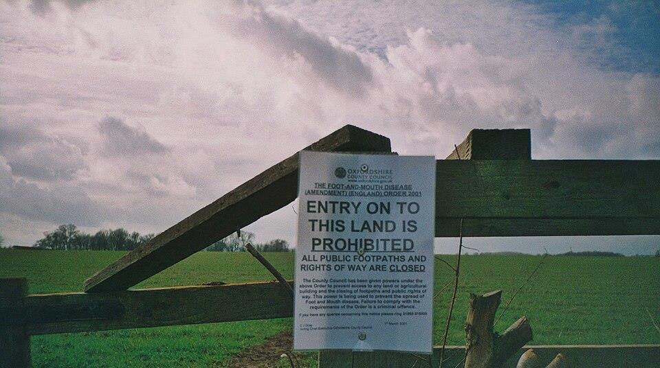 Vaccine against foot-and-mouth disease could deliver $1.3 billion a ...