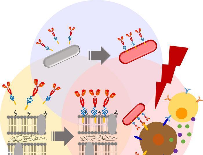 Bacteria deliver living colour to the built environment | The ...
