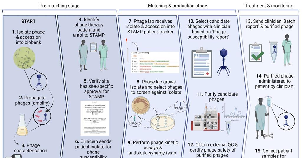 Setting up systems to make therapeutic phage available for all | The ...
