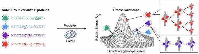 AI-powered framework predicts the evolutionary fitness of SARS-CoV-2 ...