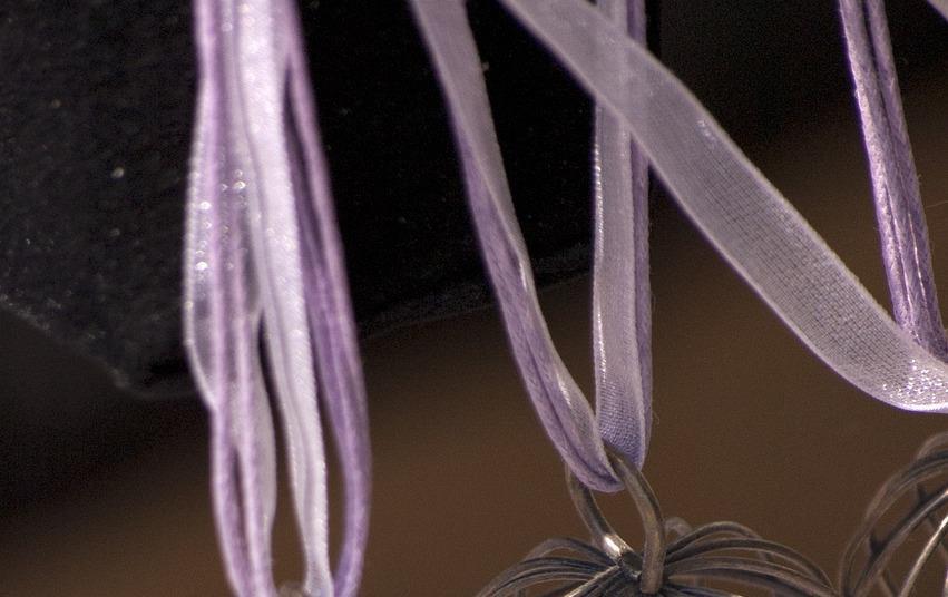 Bacteria engineered to biosynthesize intricate protein complexes | News ...