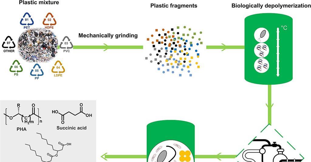 A new process with zero emissions for truly biodegradable plastics ...