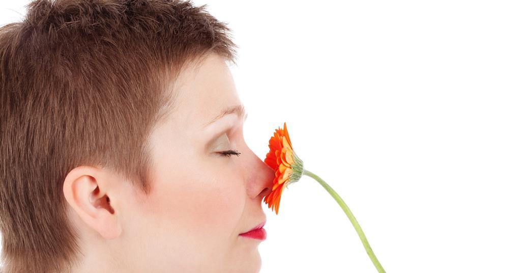 The scent of infection: how smells can help us spot disease | Features ...