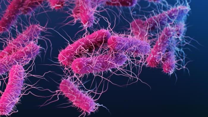 Same moves, different terrain: How bacteria navigate complex ...