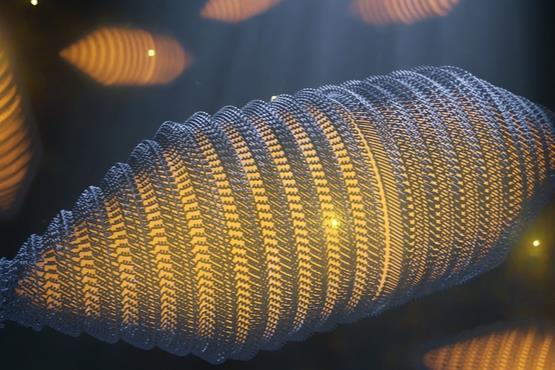 Scientists Reveal Molecular Structure Of Bacterial Gas Vesicles The Microbiologist
