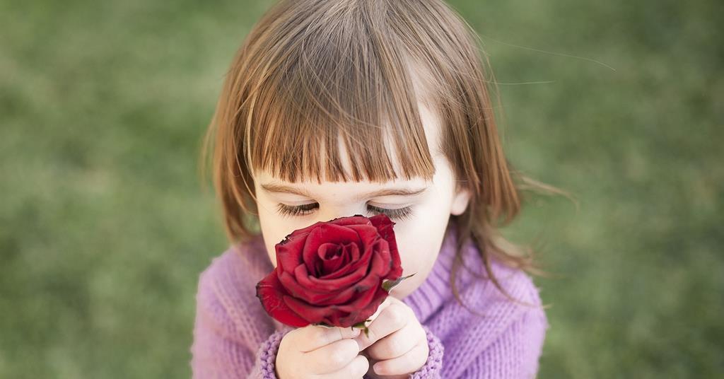 The scent of infection: how smells can help us spot disease | Features ...