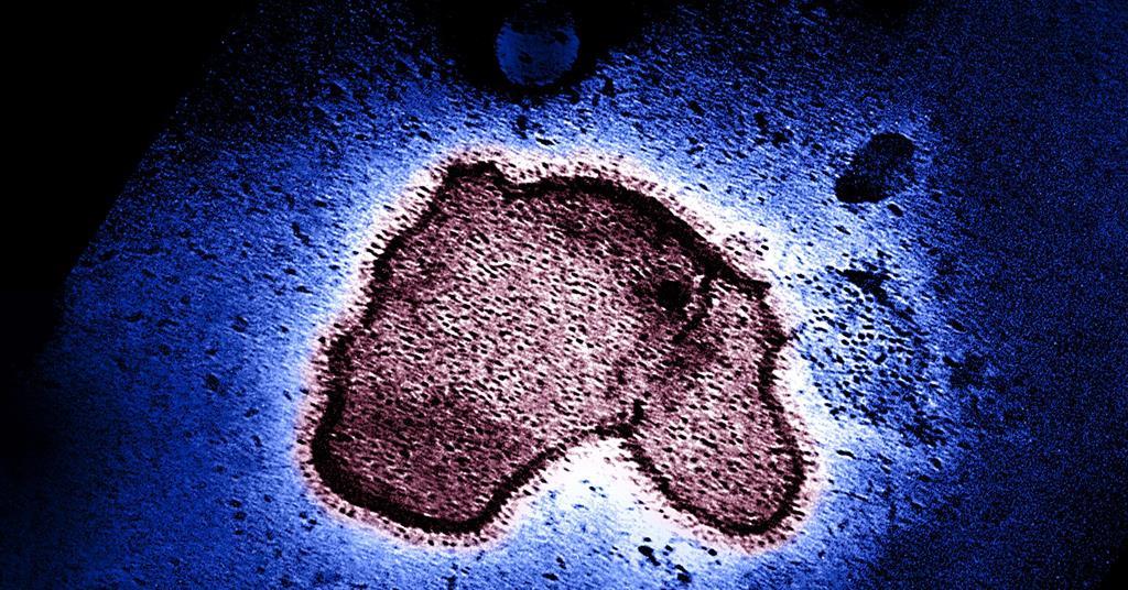 Study in Europe: monoclonal antibodies effectively prevent respiratory ...