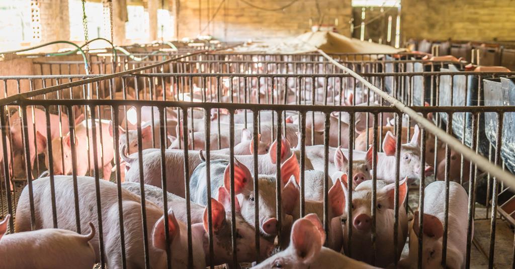 Partnering with low- and middle-income countries to co-develop ...