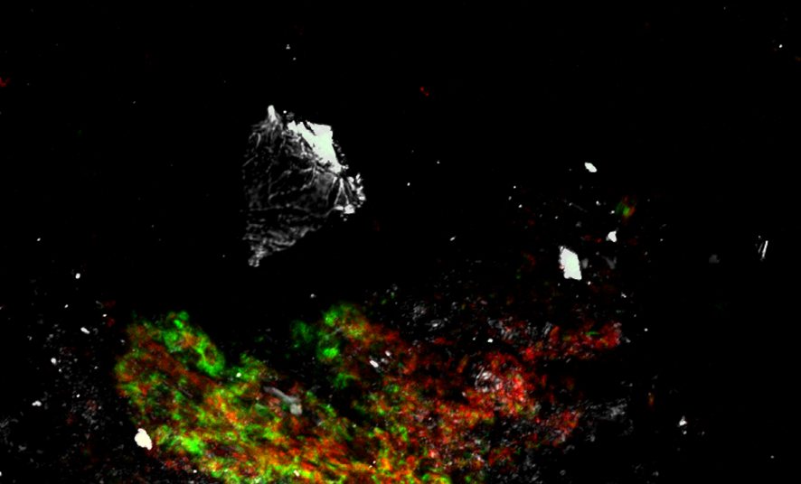 The dark biosphere | Features | The Microbiologist