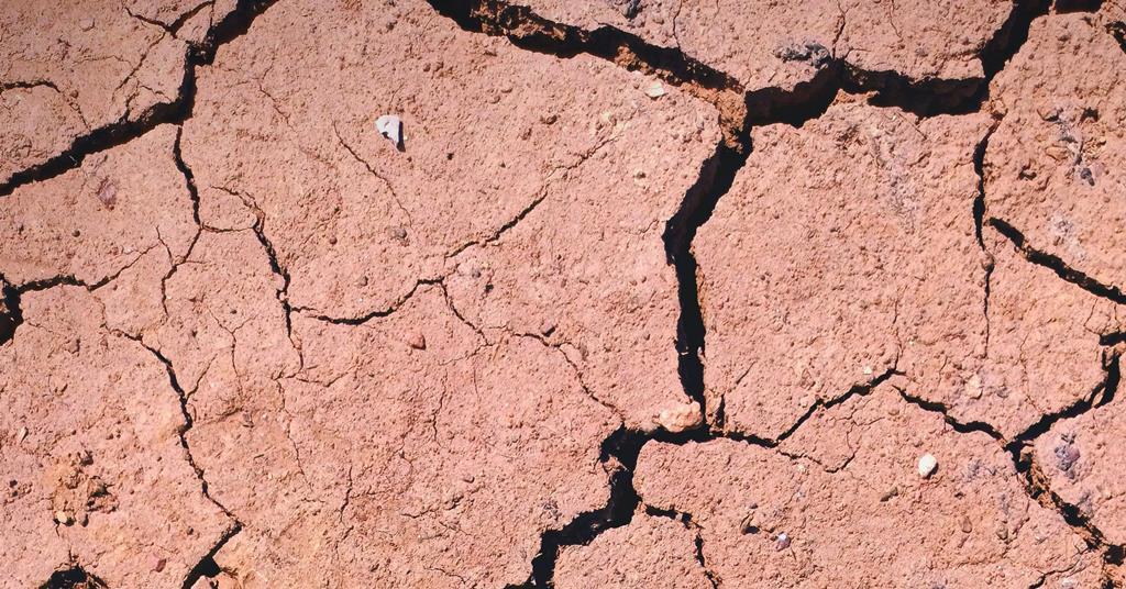 Biogenic construction: The new era of civil engineering | News | The ...