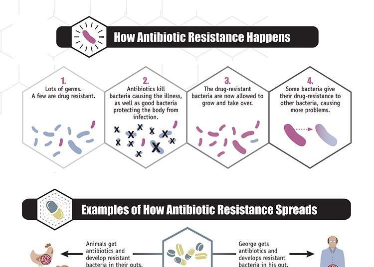 Partnering with low- and middle-income countries to co-develop ...