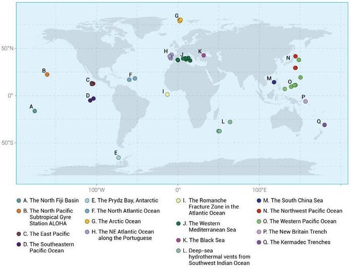 New study into the ecological role of deep-sea viruses | News | The ...