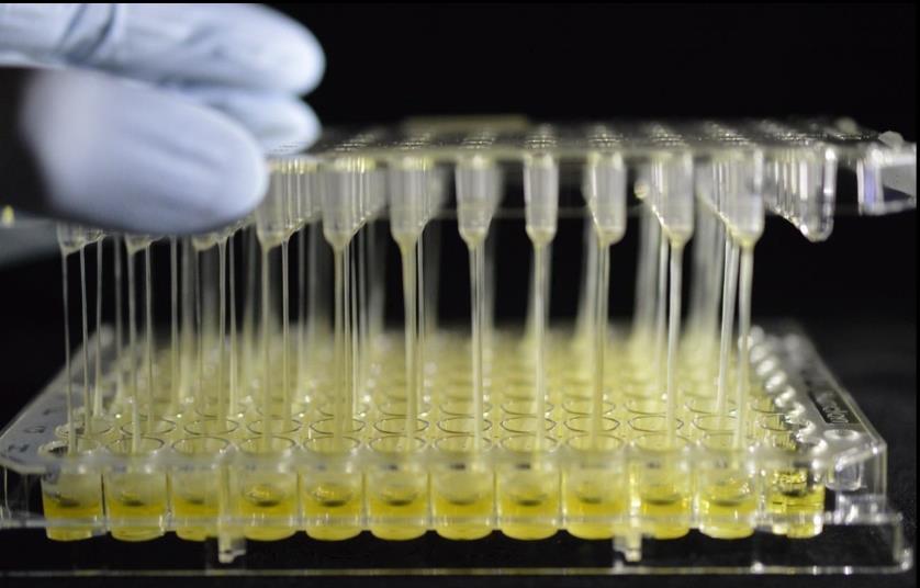 Biofilms play key role in reducing sensitivity to ionic silver in wound ...