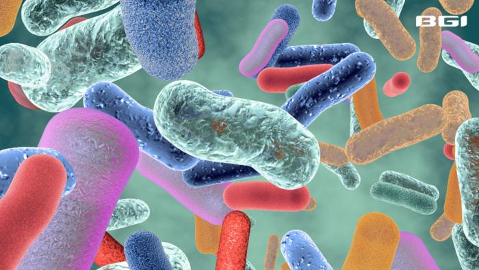 Firmicutes gut bacteria boost metabolism and bone health, study found ...