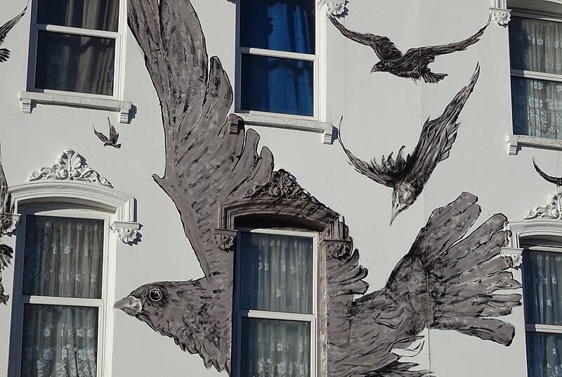 City birds found to be carriers of antimicrobial resistant bacteria ...