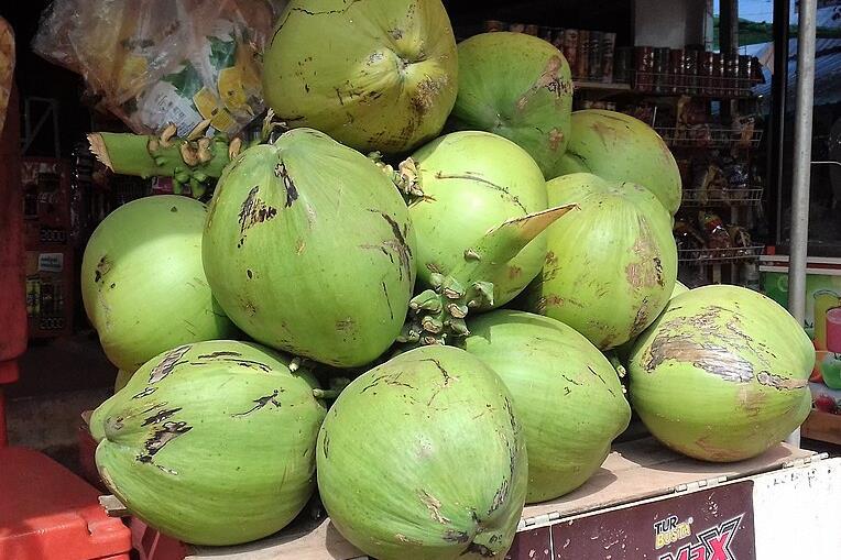 Decoding the fermentation of ‘Nam Hom’ coconut cider: How yeast choice ...