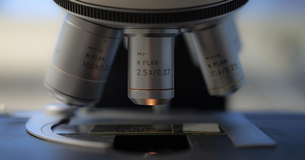 A day in the life of a medical microbiologist | Careers | The ...