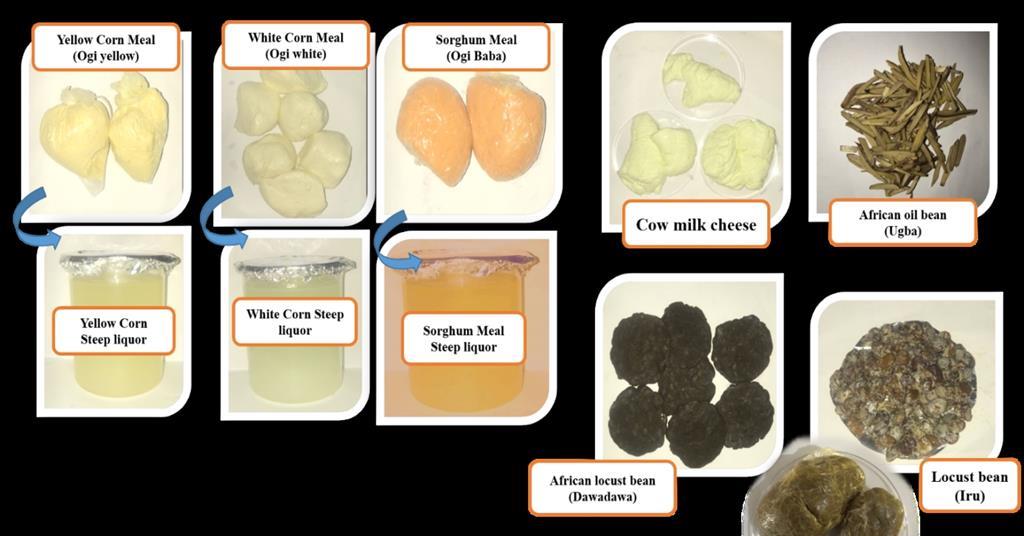 Research reveals probiotic potential of Nigerian fermented foods | News ...